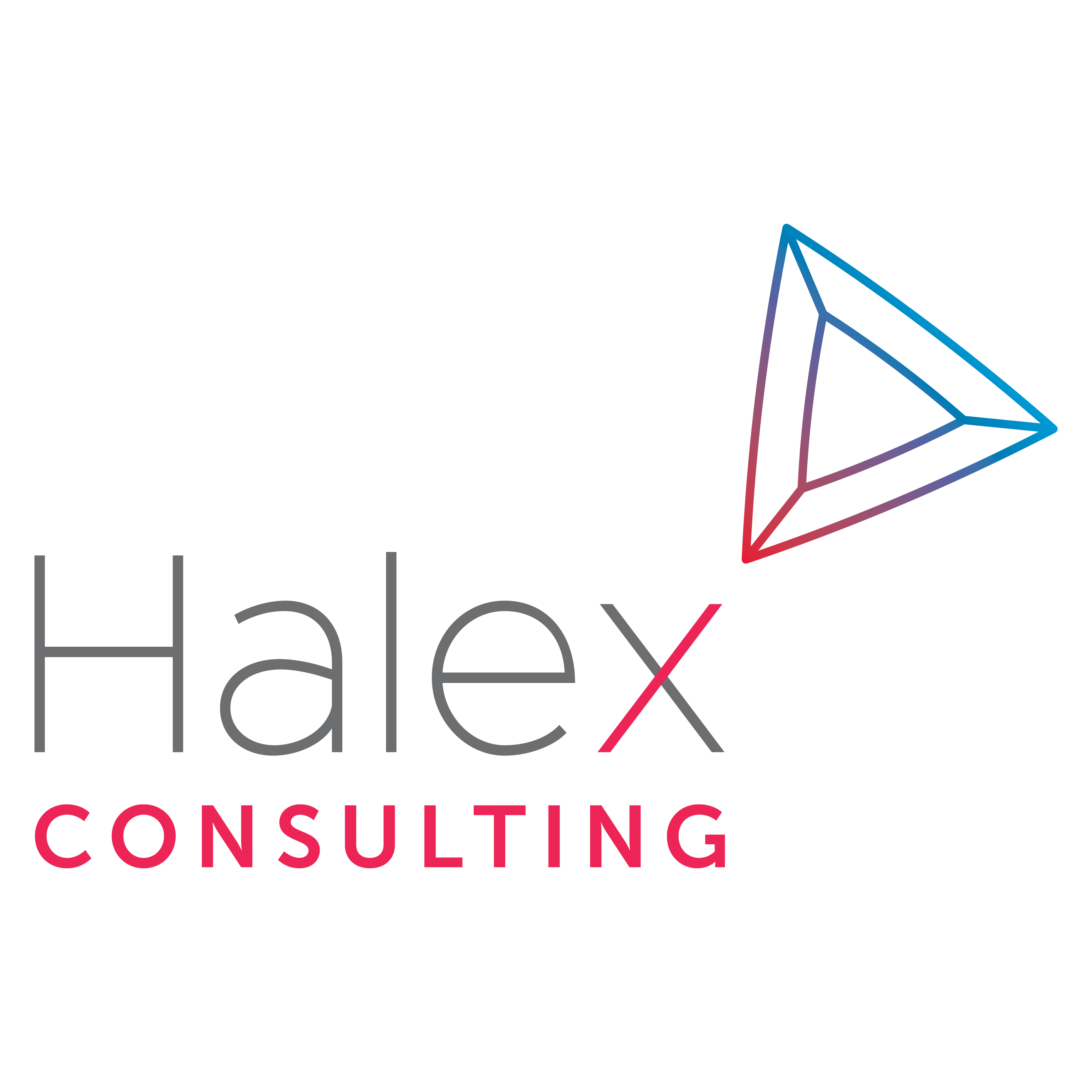 About Our Team of Governance Consultants